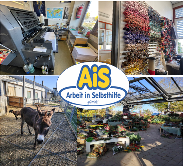 Start - Ringelbachschule